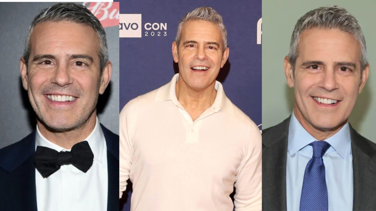 Does Andy Cohen Have a Husband? Relationship Facts - LA Story
